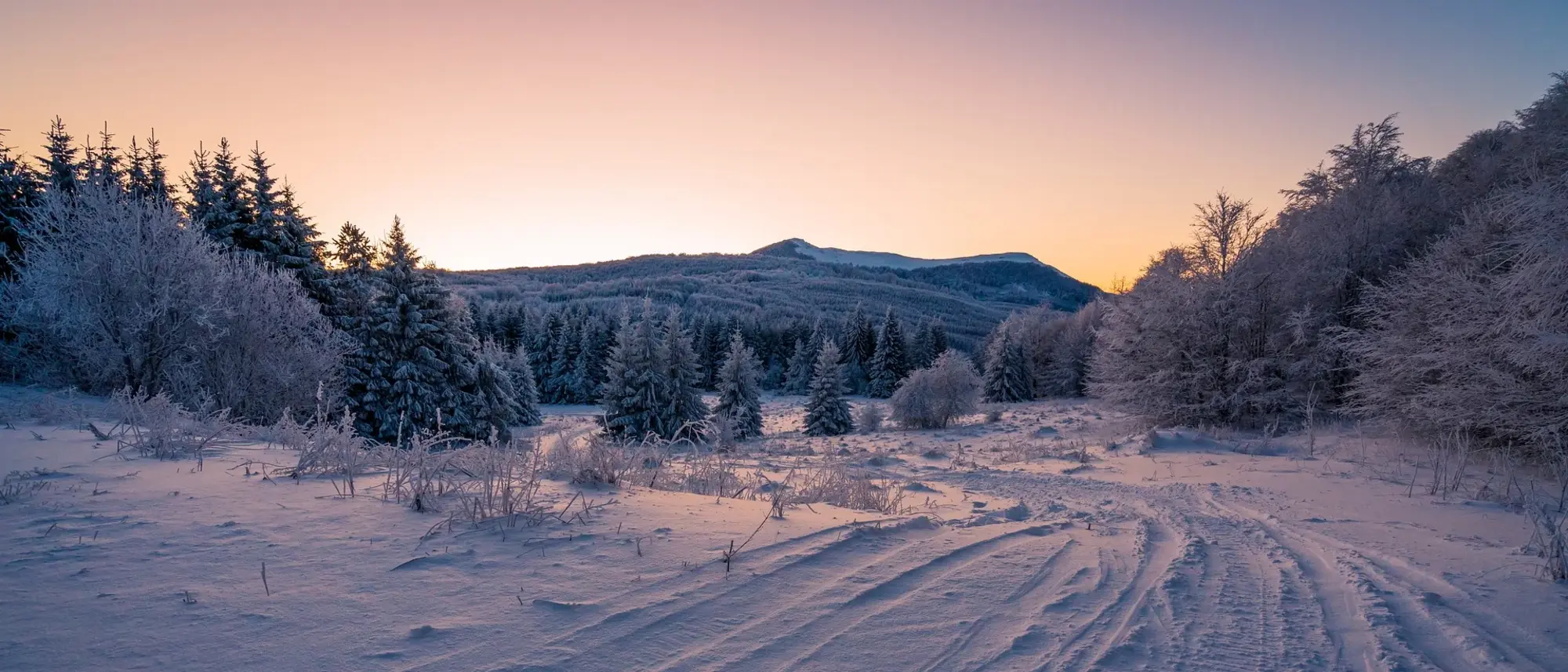 Erkrankung - Deutsche Heredo-Ataxie-Gesellschaft Bundesverband e.V.
